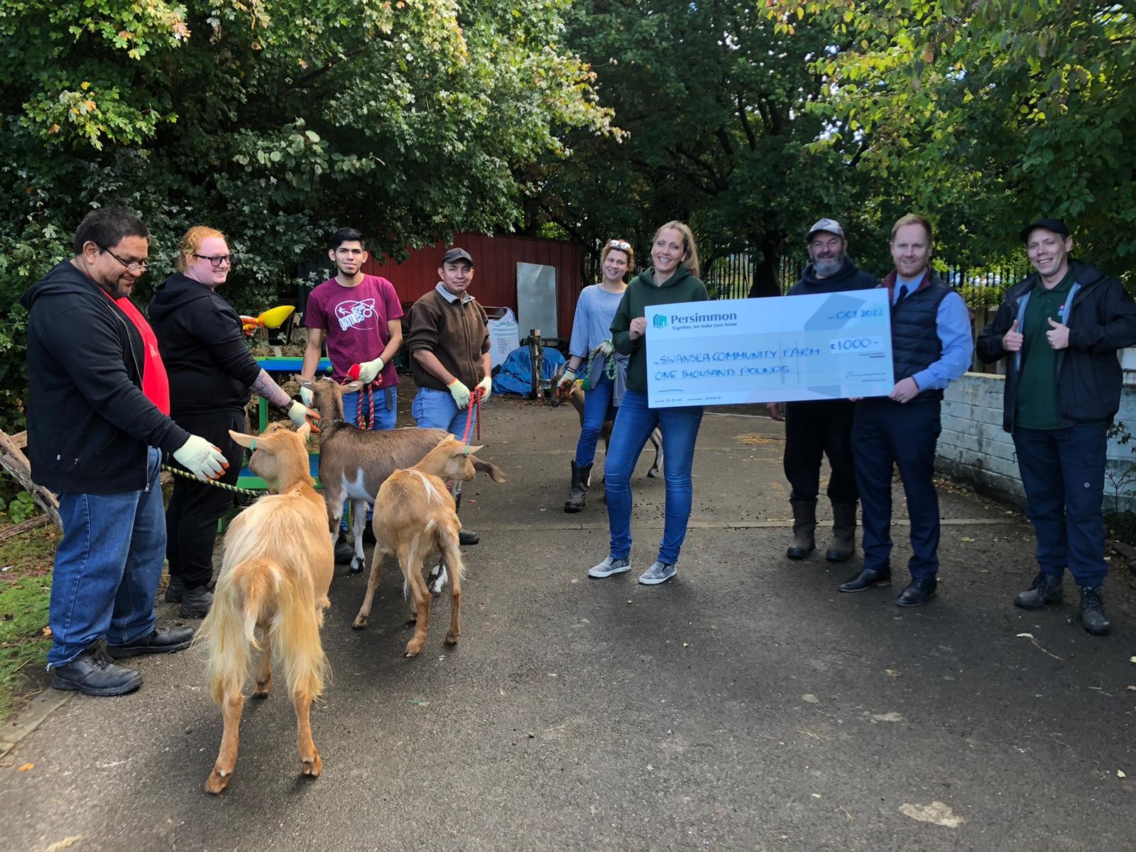 Swansea Community Farm’s ‘Big Give Christmas Campaign’ boosted by West ...