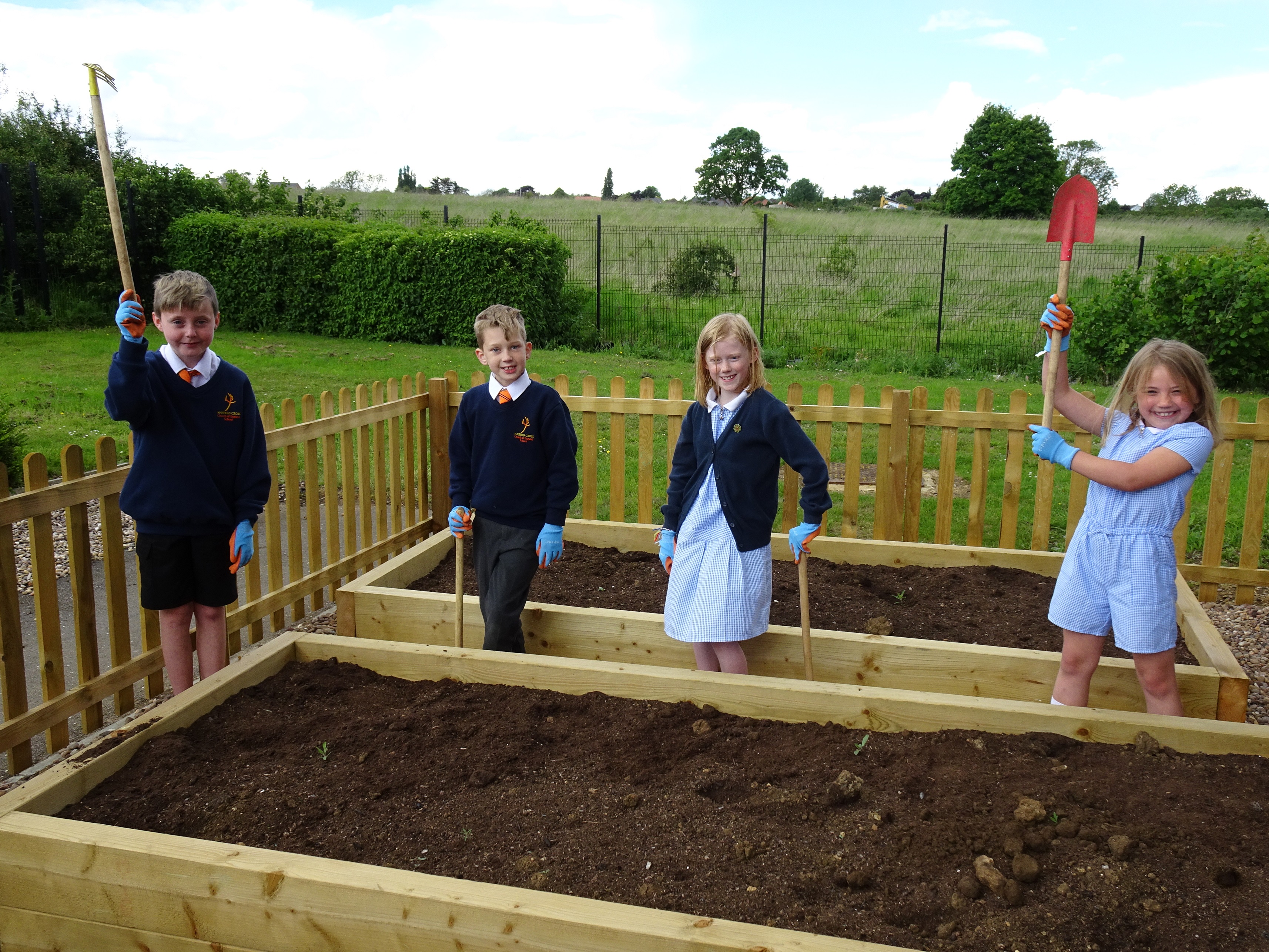 Children ‘grow their own’ in school vegetable garden
