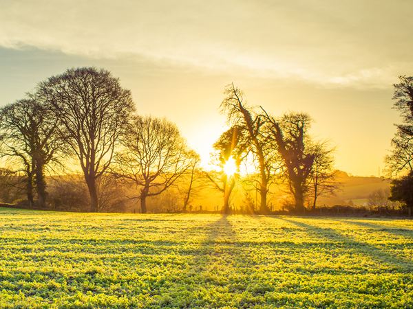 Appleyard Park | New Homes in Fleckney | Persimmon Homes