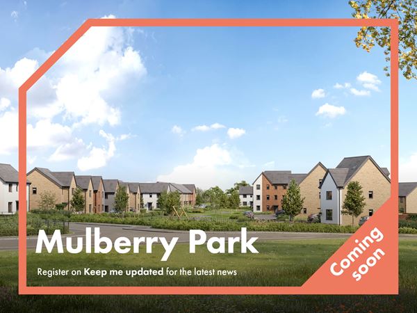 Mulberry Park | New homes in Caister | Persimmon Homes