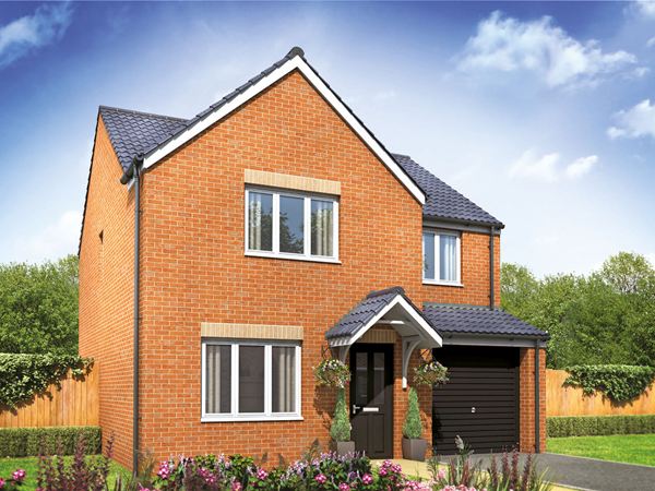 Bluebell Meadow | New Builds in Bradwell | Persimmon Homes
